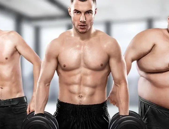 Biotipo Endomorfo: O que é, é bom, características e como saber se sou ...